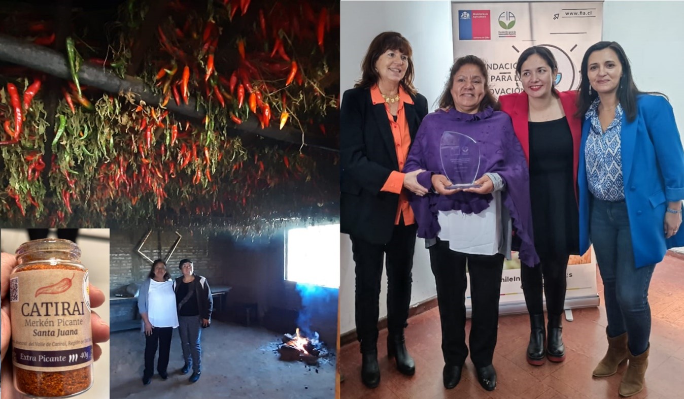 Agricultora que rescató tubérculo de la mañoca en Rapa Nui distinguida ...